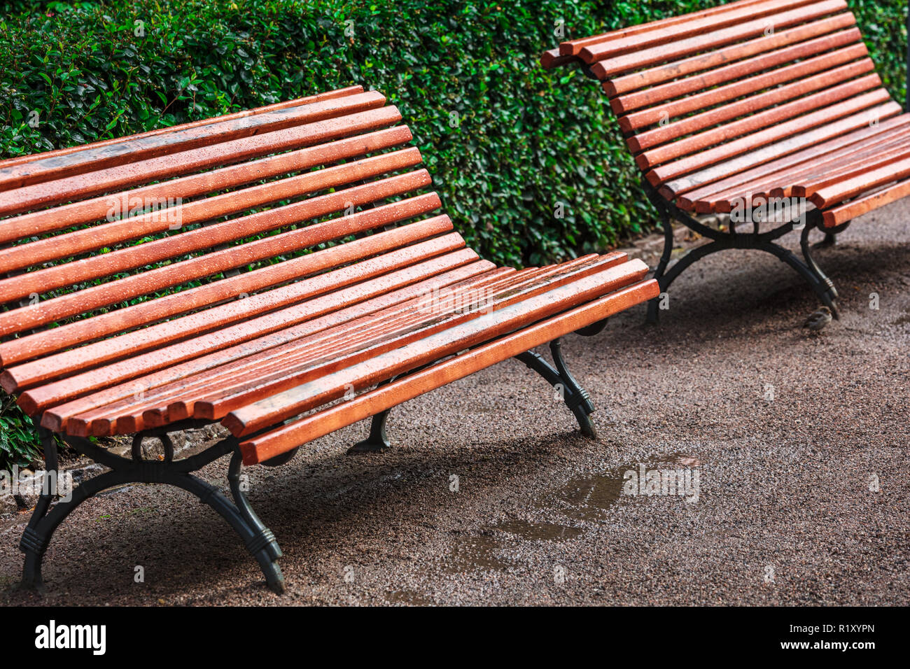 Beautiful empty alley benches hi-res stock photography and images - Alamy