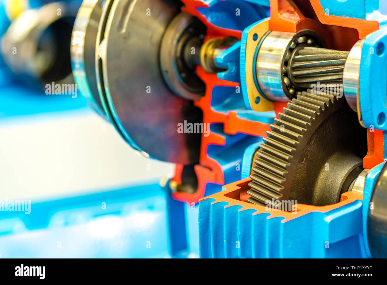 view of cross section gears Stock Photo - Alamy