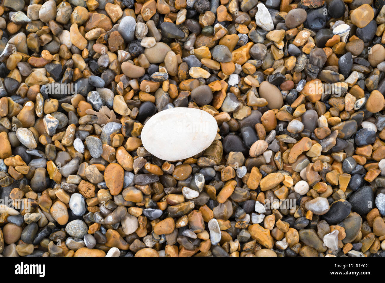 Pebbles on shingle beach in Norfolk, UK Stock Photo - Alamy