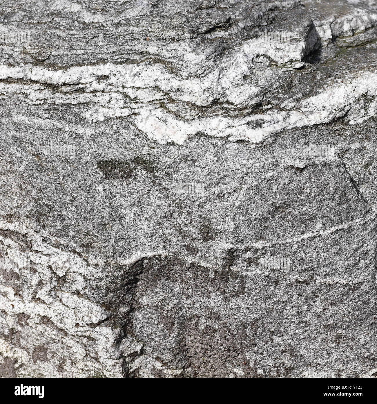 Natural surface of a grey boulder of gneiss, close-up shot Stock Photo ...