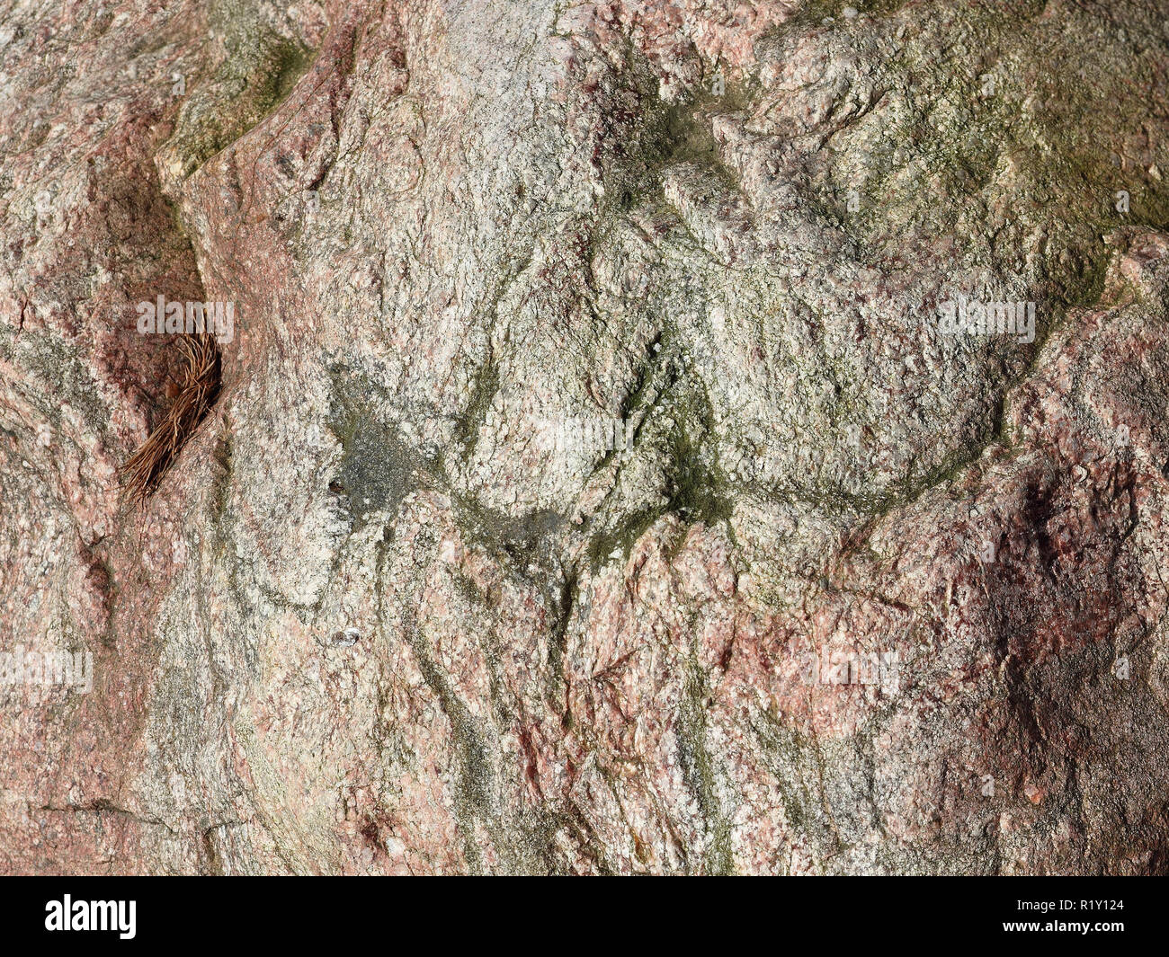 Migmatite texture hi-res stock photography and images - Alamy