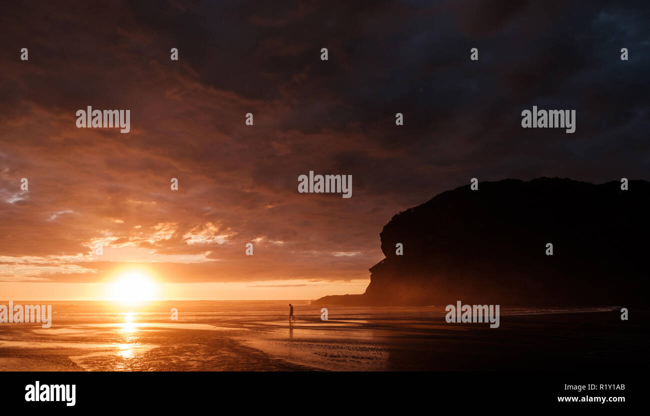 Te henga new zealand walking hi-res stock photography and images - Alamy