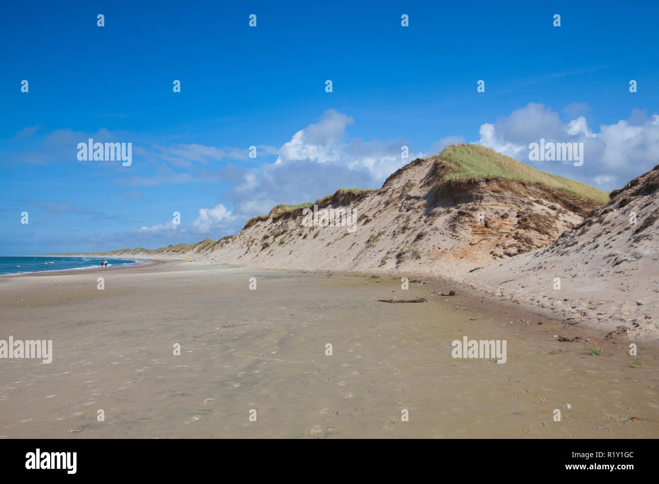 Jutland nature hi-res stock photography and images - Alamy