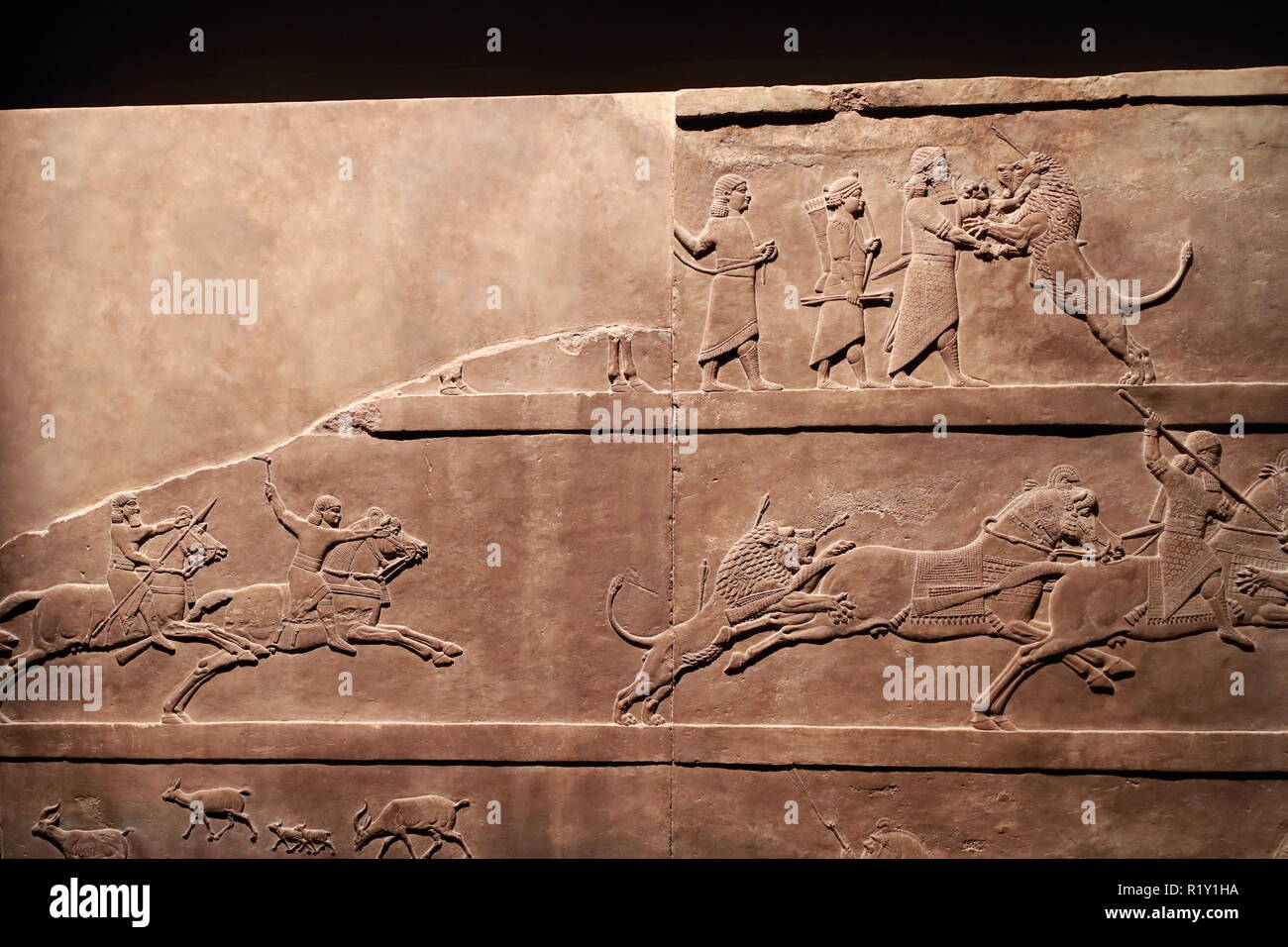 Assyrian relief showing lion hunting scenes at the British Museum ...