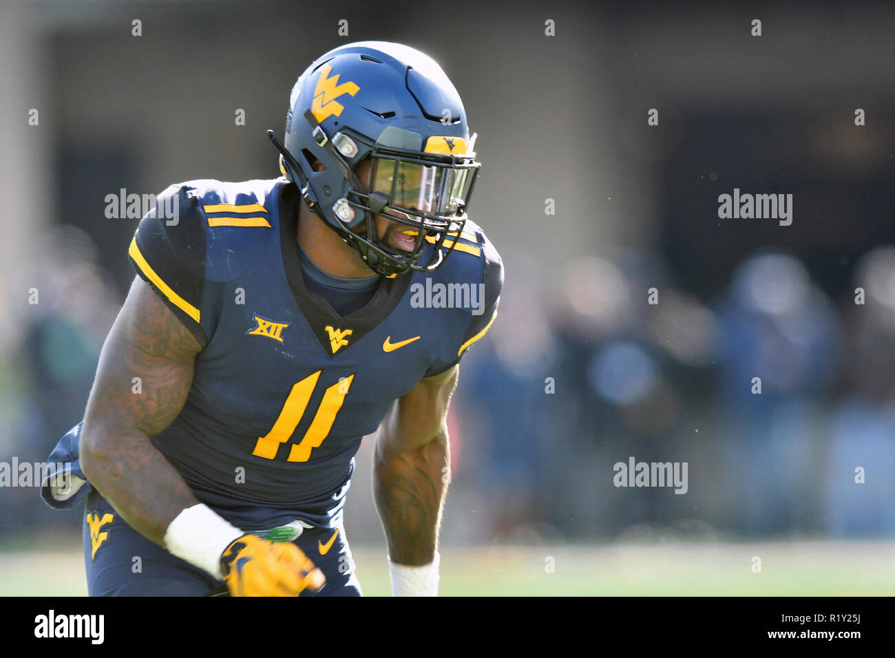 David long wvu hi-res stock photography and images - Alamy