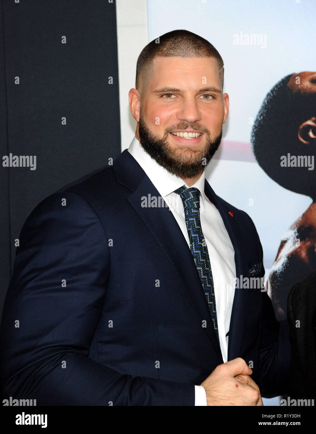 New York, USA. 14th Nov 2018. Florian Munteanu attends the world ...