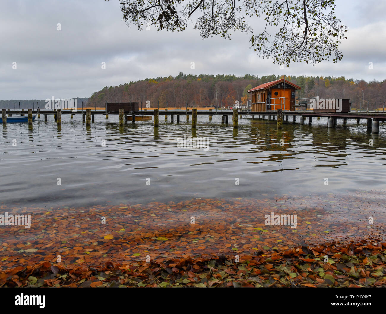Neuglobsow, Germany. 14th Nov, 2018. View over the Stechlin lake in ...