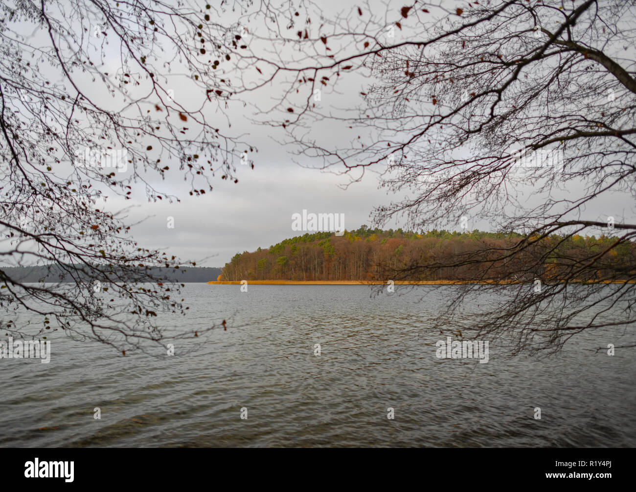 Neuglobsow, Germany. 14th Nov, 2018. View over the Stechlin lake in ...