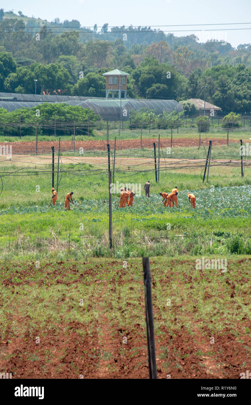 Atteridgeville hi-res stock photography and images - Alamy