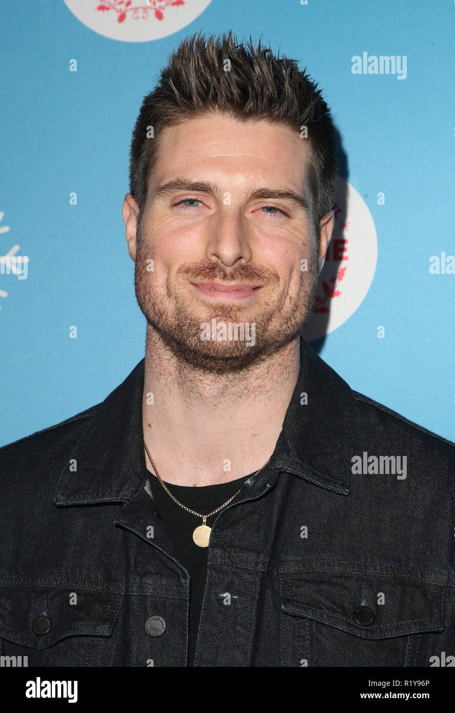 Los Angeles, Ca, USA. 14th Nov, 2018. Marcus Rosner, at The Stars Of ...
