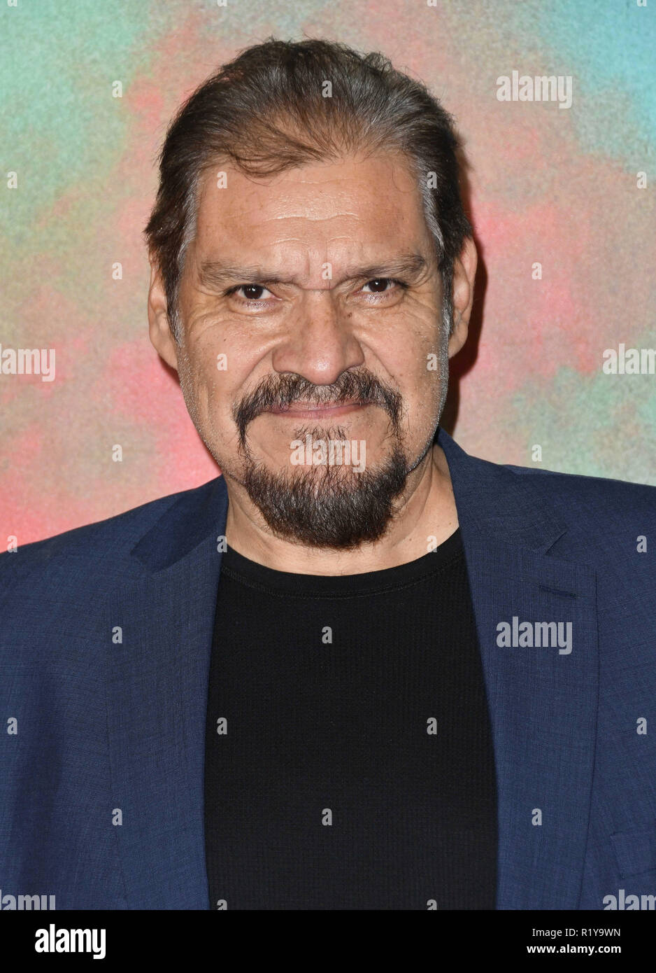 Los Angeles, CA, USA. 14th Nov, 2018. 14 November 2018 - Los Angeles ...