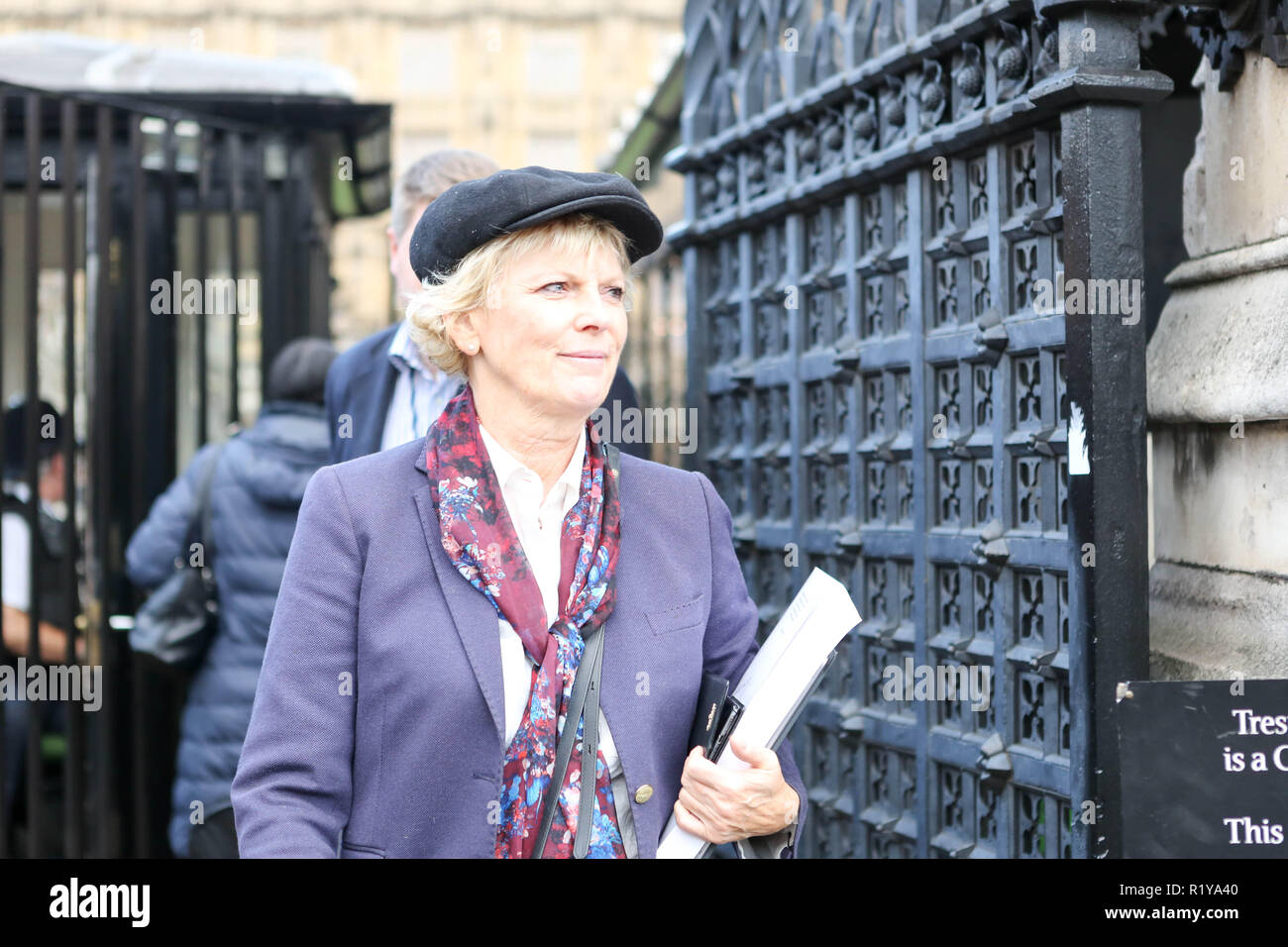 Politician barrister and journalist anna soubry hi-res stock ...