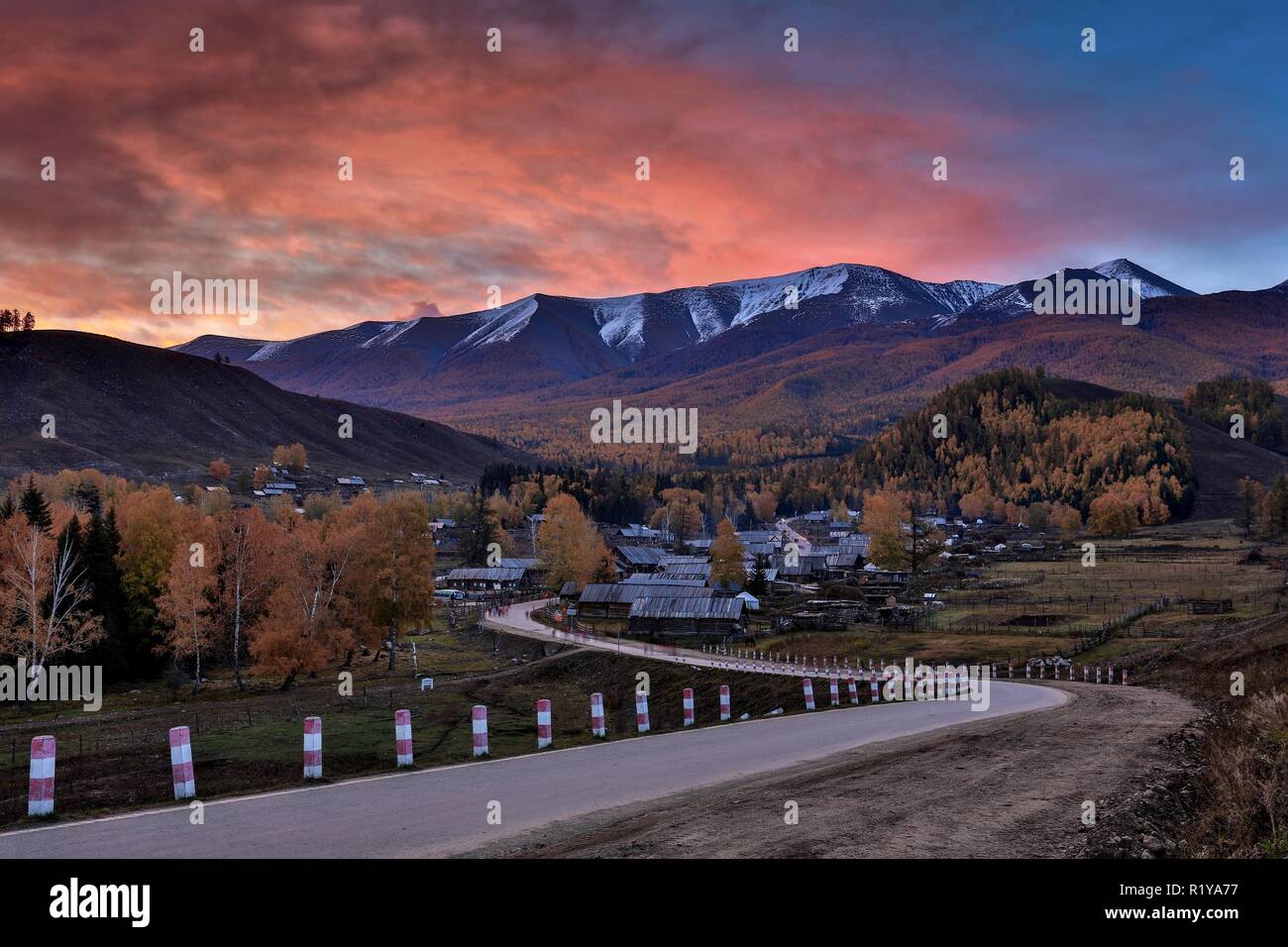 White haba hi-res stock photography and images - Alamy