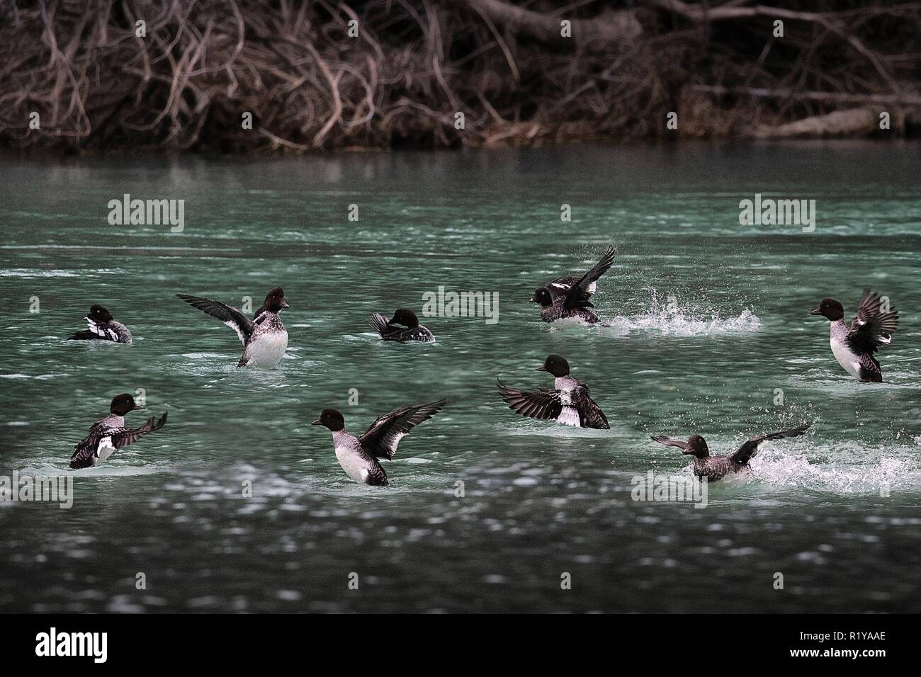 Xinjiang, Xinjiang, China. 15th Nov, 2018. Xinjiang, CHINA-Scenery of ...