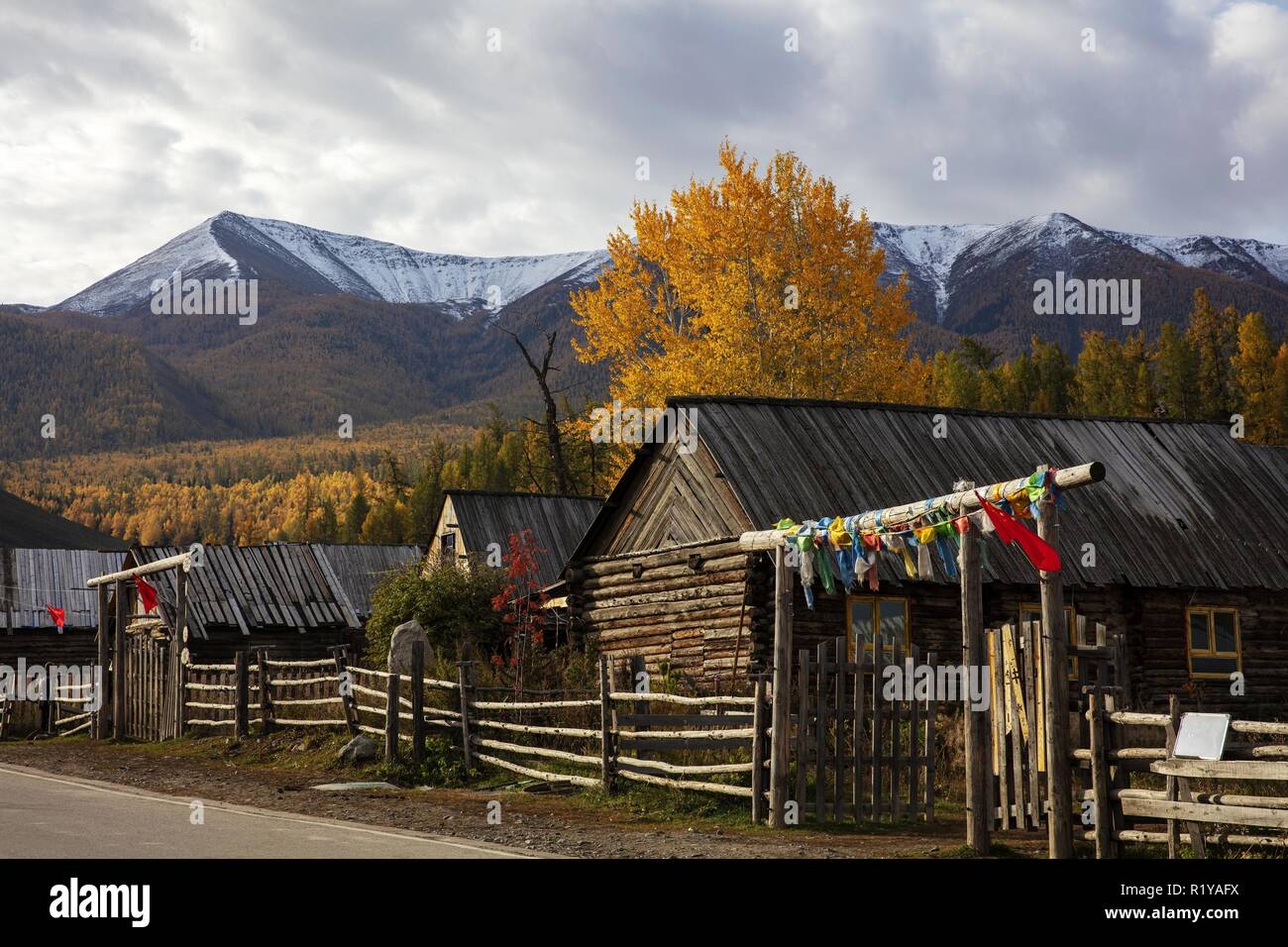 White haba hi-res stock photography and images - Alamy