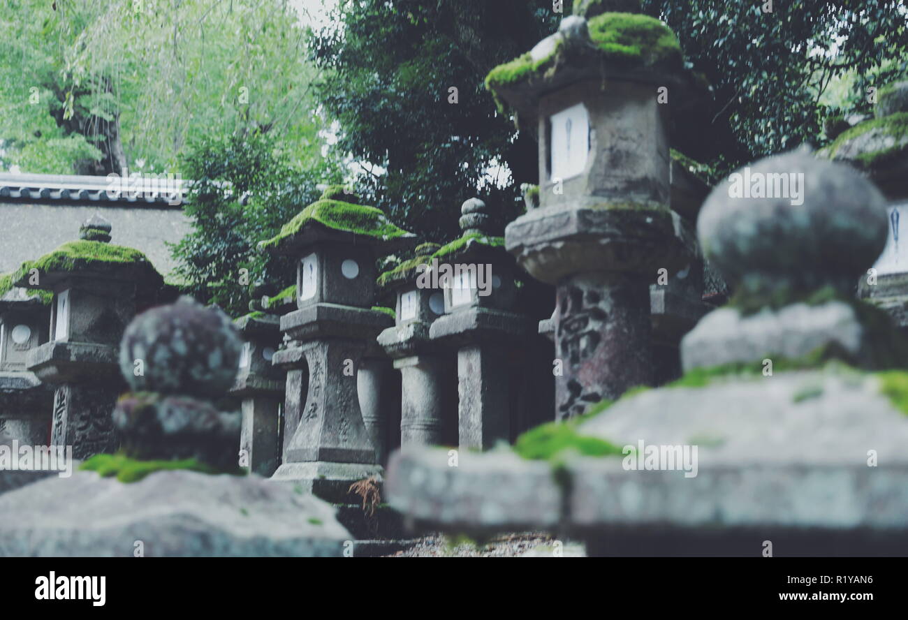 Nara, Nara, China. 15th Nov, 2018. Kasuga Grand Shrine is a Shinto ...