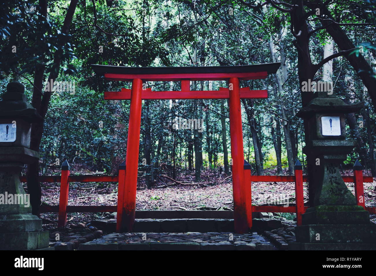 Nara, Nara, China. 15th Nov, 2018. Kasuga Grand Shrine is a Shinto ...