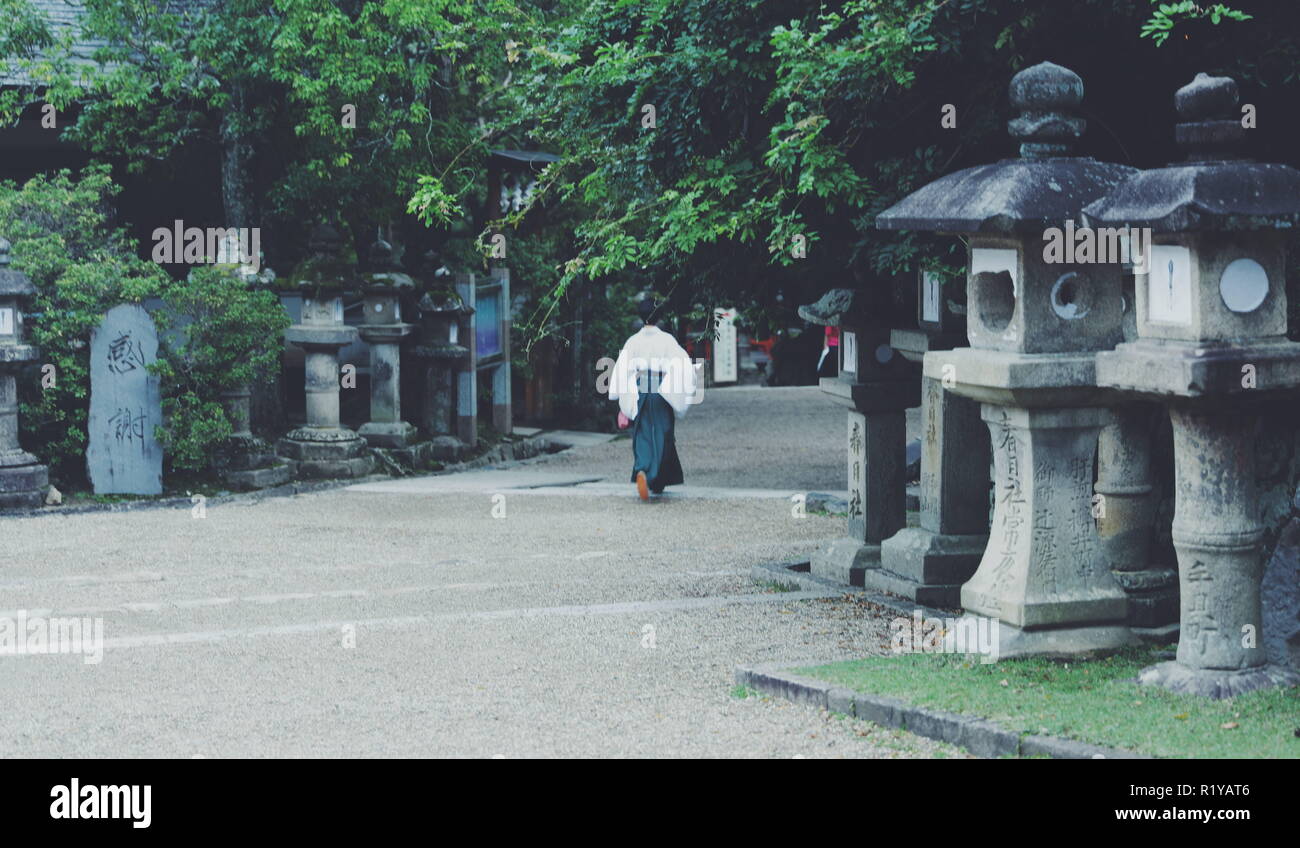 Nara, Nara, China. 15th Nov, 2018. Kasuga Grand Shrine is a Shinto ...