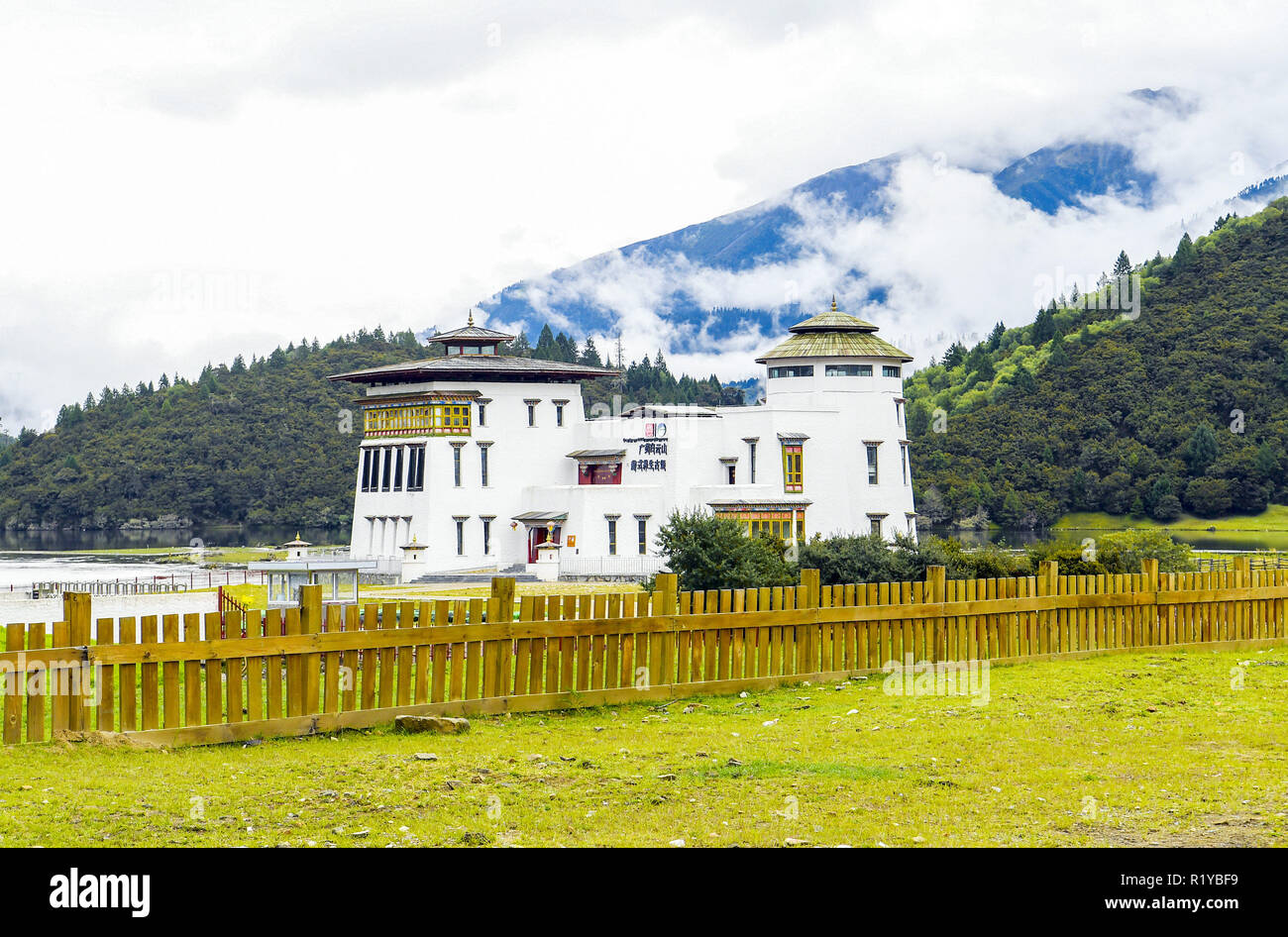 Nyingchi, Nyingchi, China. 15th Nov, 2018. Nyingchi, CHINA-Nyingchi ...