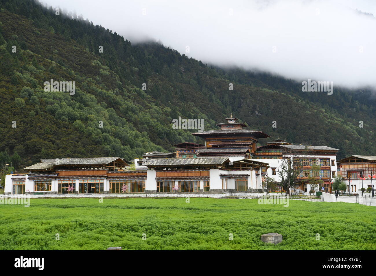 Nyingchi, Nyingchi, China. 15th Nov, 2018. Nyingchi, CHINA-Nyingchi ...