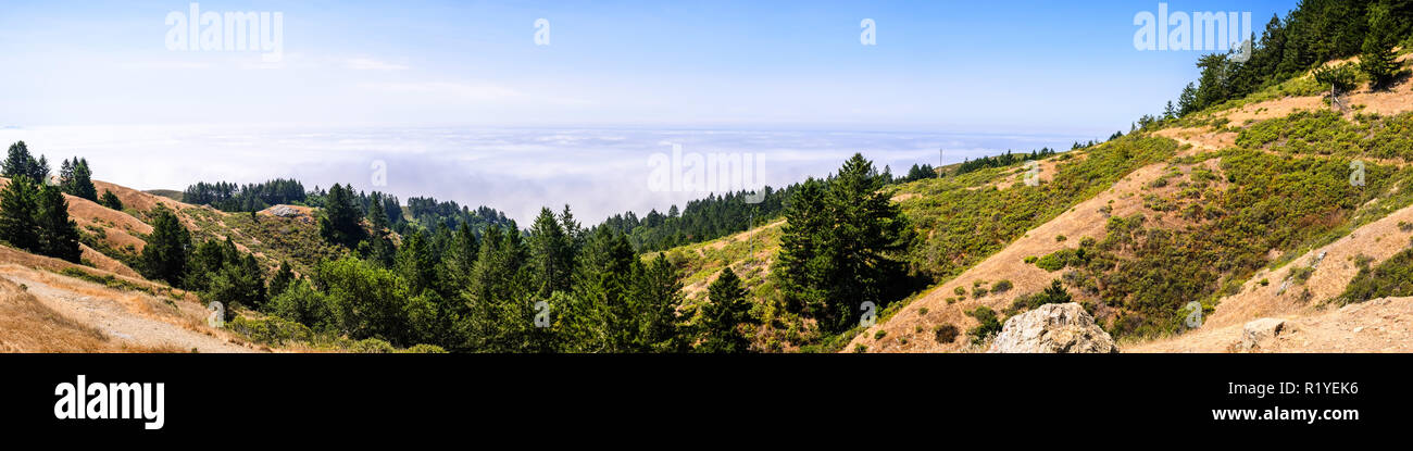Marin county view hi-res stock photography and images - Alamy