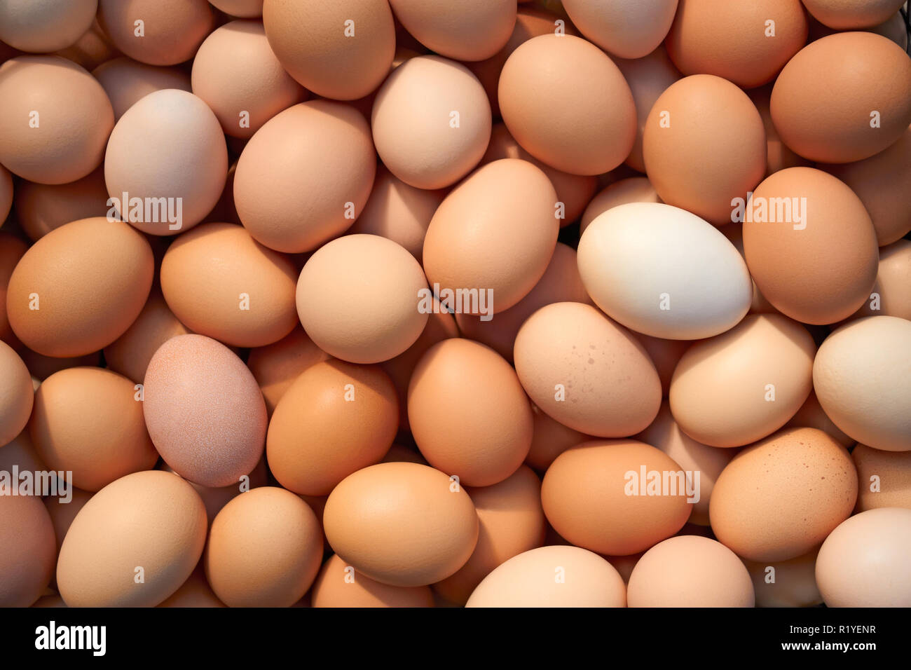 Big eggs hi-res stock photography and images - Alamy