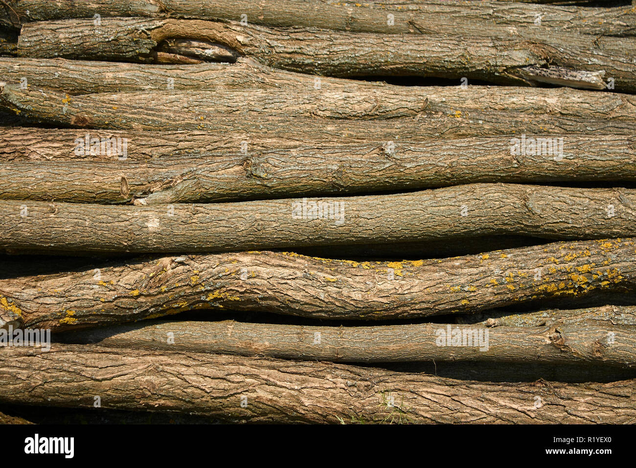 Horizontally long hi-res stock photography and images - Alamy