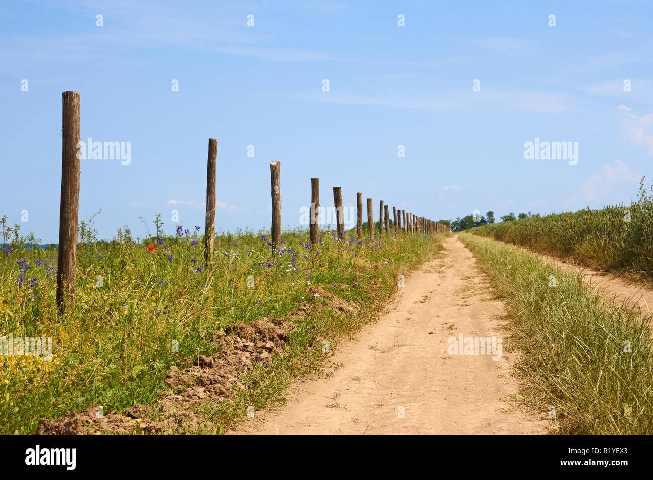 Row of wooden columns on roadside of the rural dirt road in a lovely ...