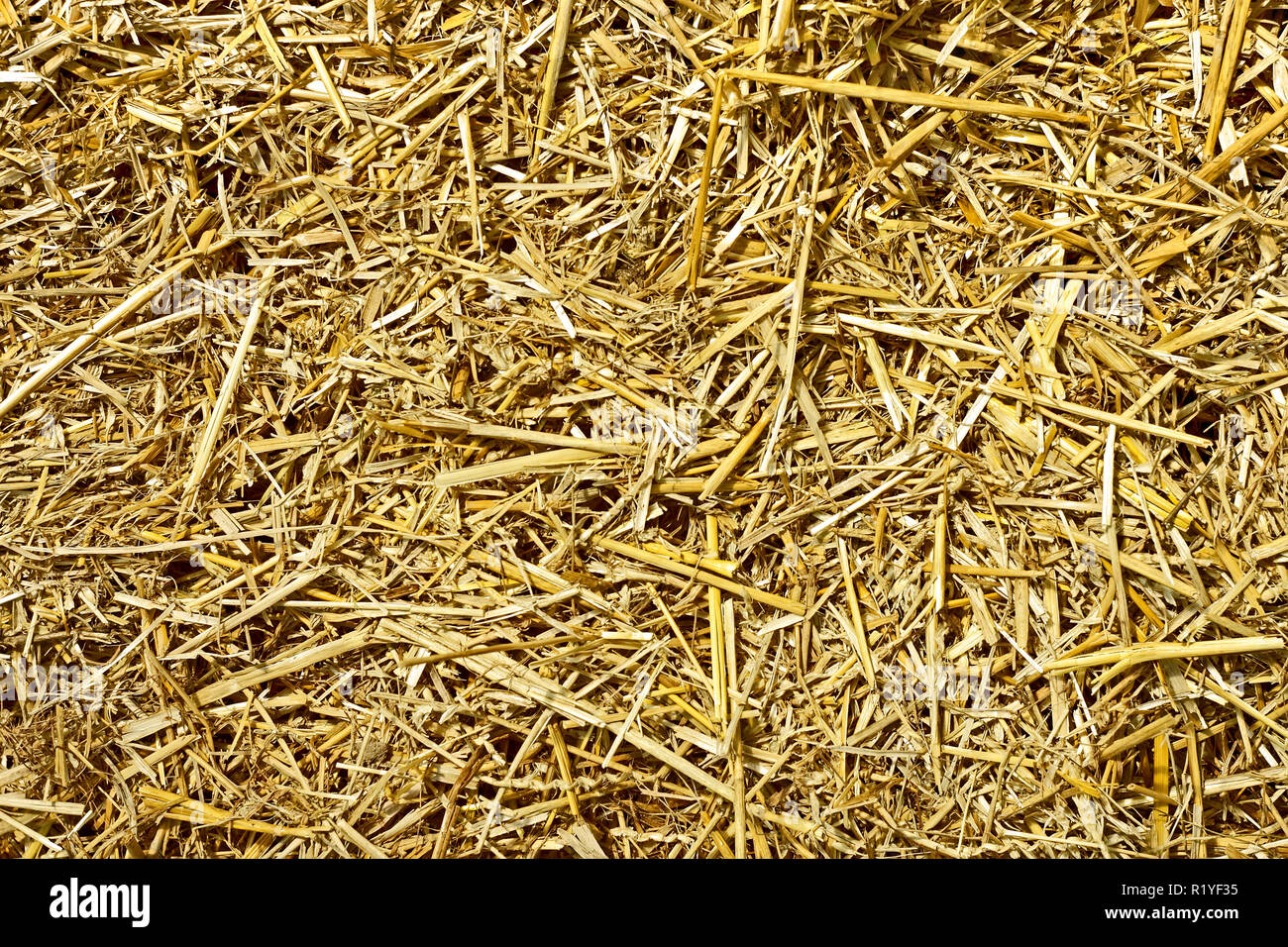 Chopped hay hi-res stock photography and images - Alamy