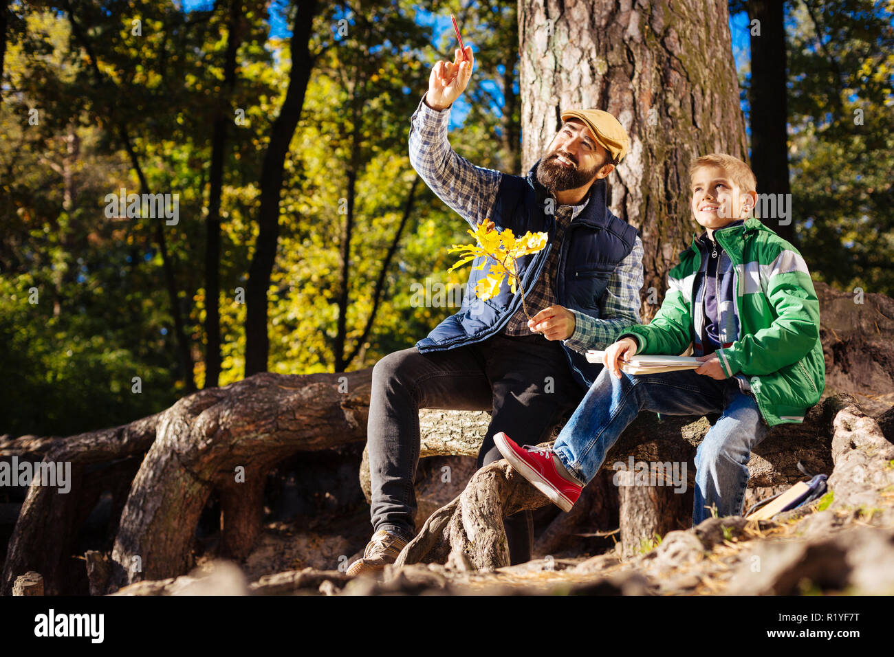 Nice oak hi-res stock photography and images - Alamy