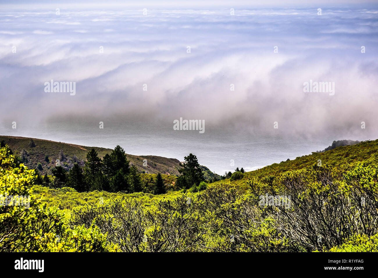 Layer of fog covering the Pacific Ocean but leaving the coastline ...