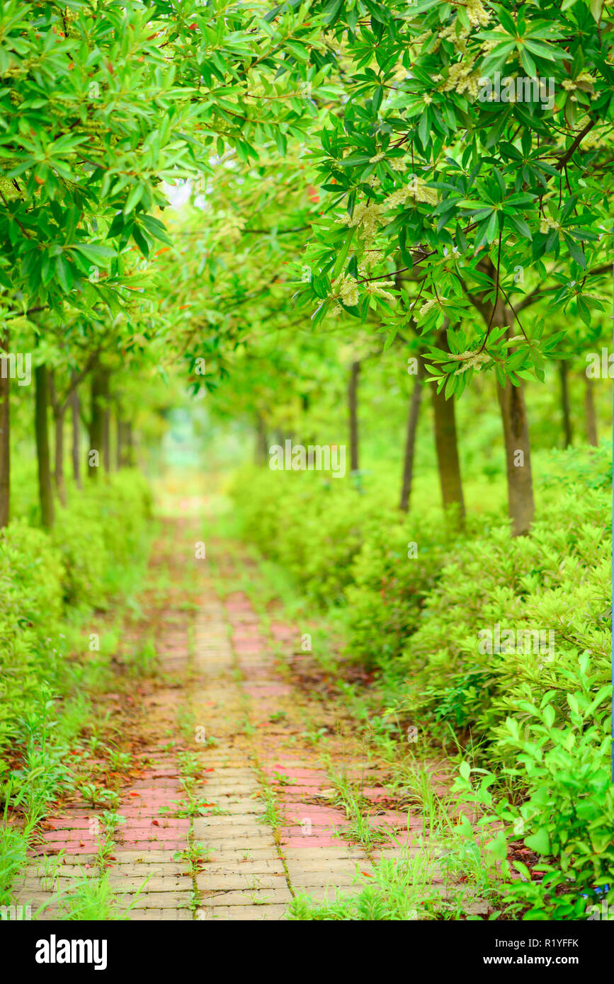 Marvelous scenery hi-res stock photography and images - Alamy