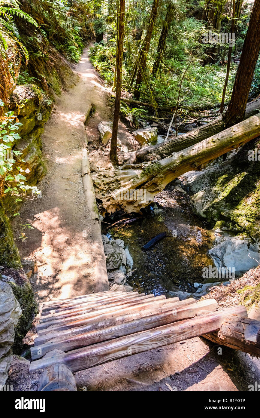Wooden ladder at mt tamalpais hi-res stock photography and images - Alamy