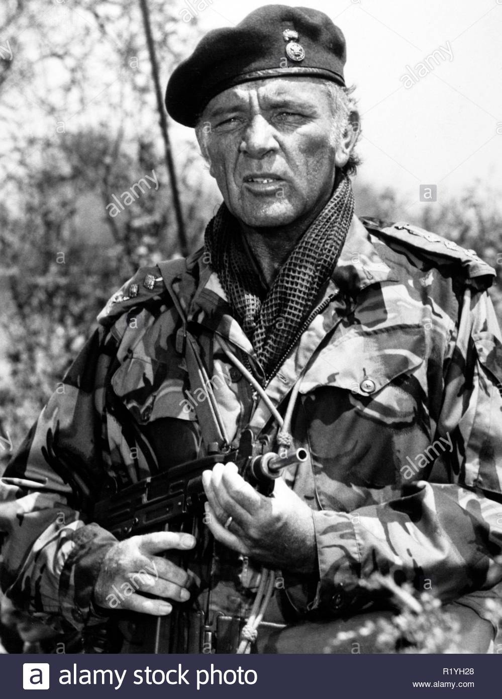 The Wild Geese Film Stock Photos & The Wild Geese Film Stock Images - Alamy