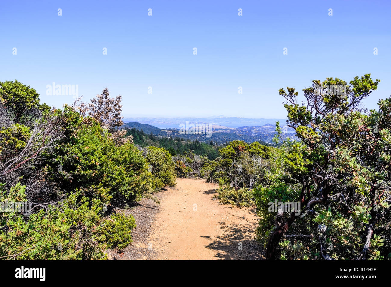 Trail in Mt Tamalpais State Park; the San Francisco bay area visible in ...