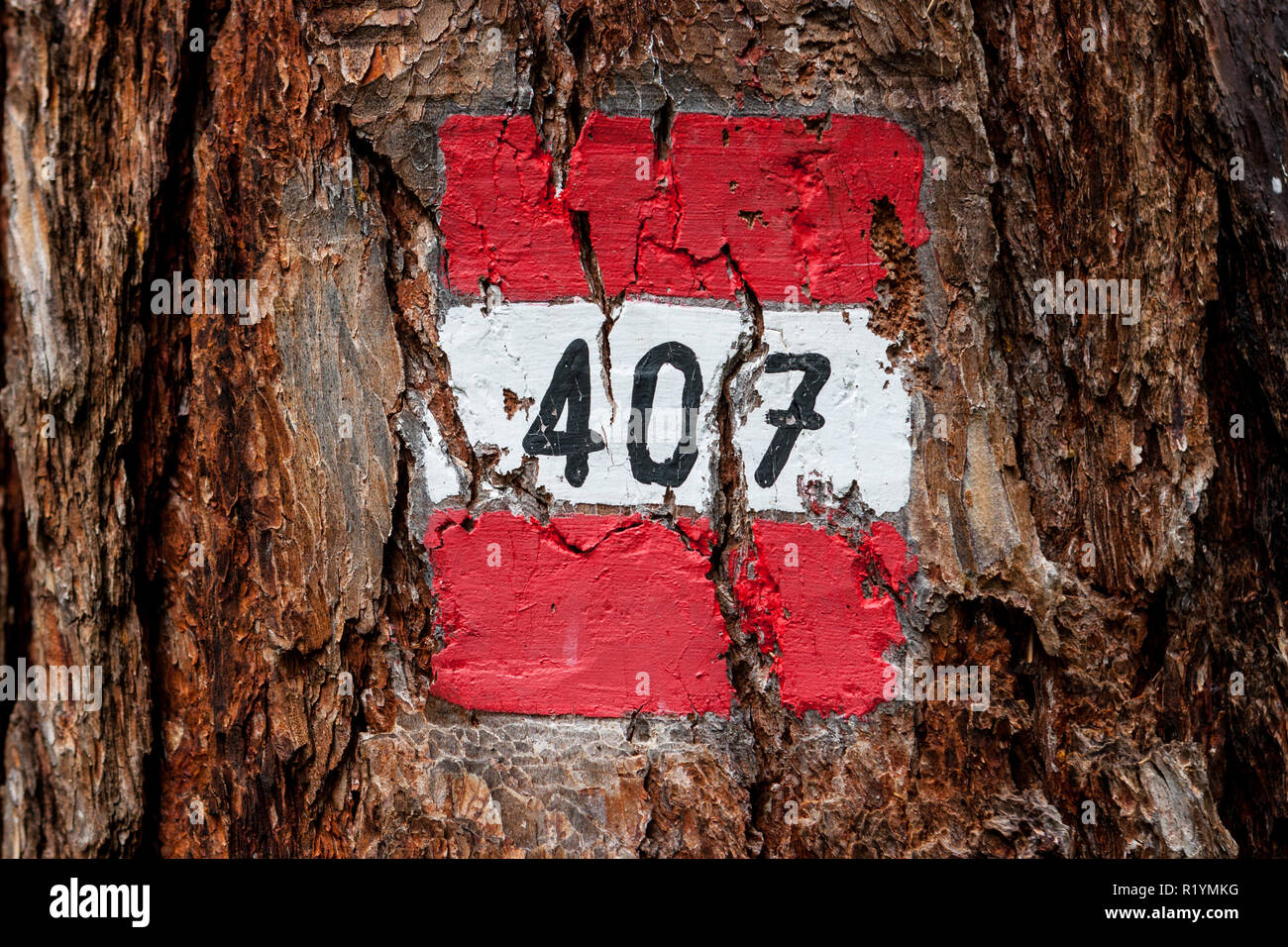 Trekking identification sign painted on a tree, marking the trail ...