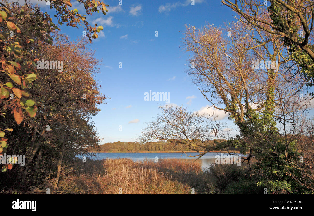 Broad road hi-res stock photography and images - Alamy