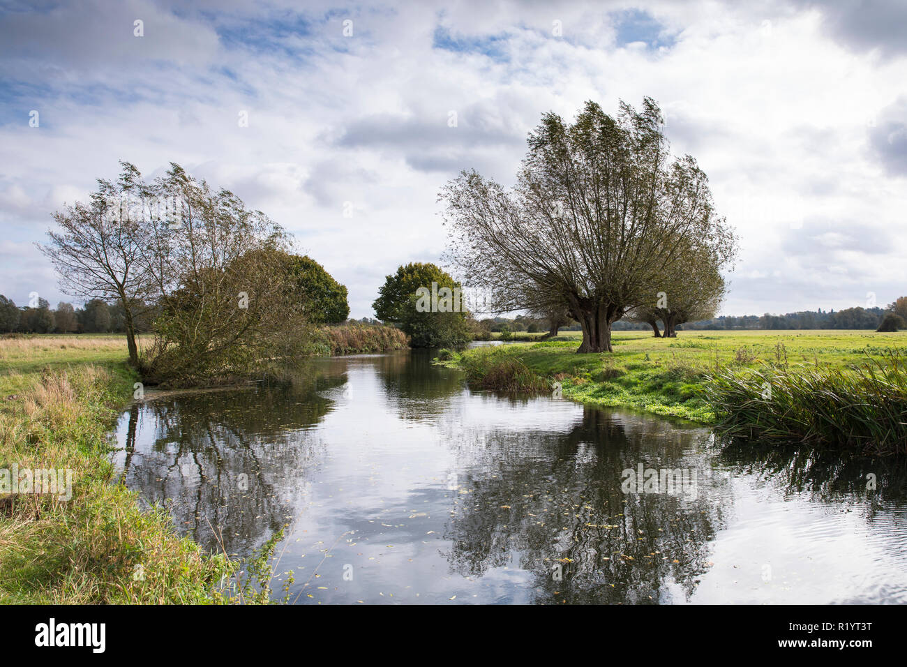 River Stour and English willow trees in Suffolk Coasts and Heaths Area ...