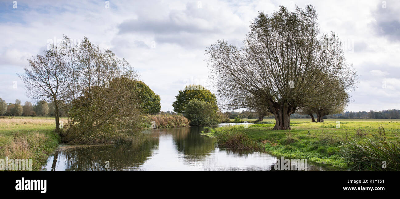 River Stour and English willow trees in Suffolk Coasts and Heaths Area ...