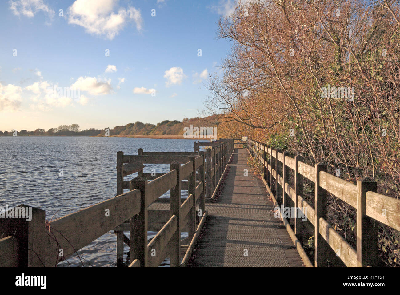 A view of Filby Broad with boardwalk on the Norfolk Broads at Filby ...