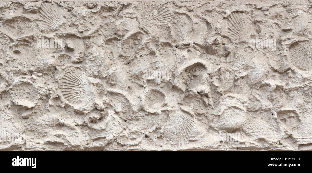 Shell wall hi-res stock photography and images - Alamy