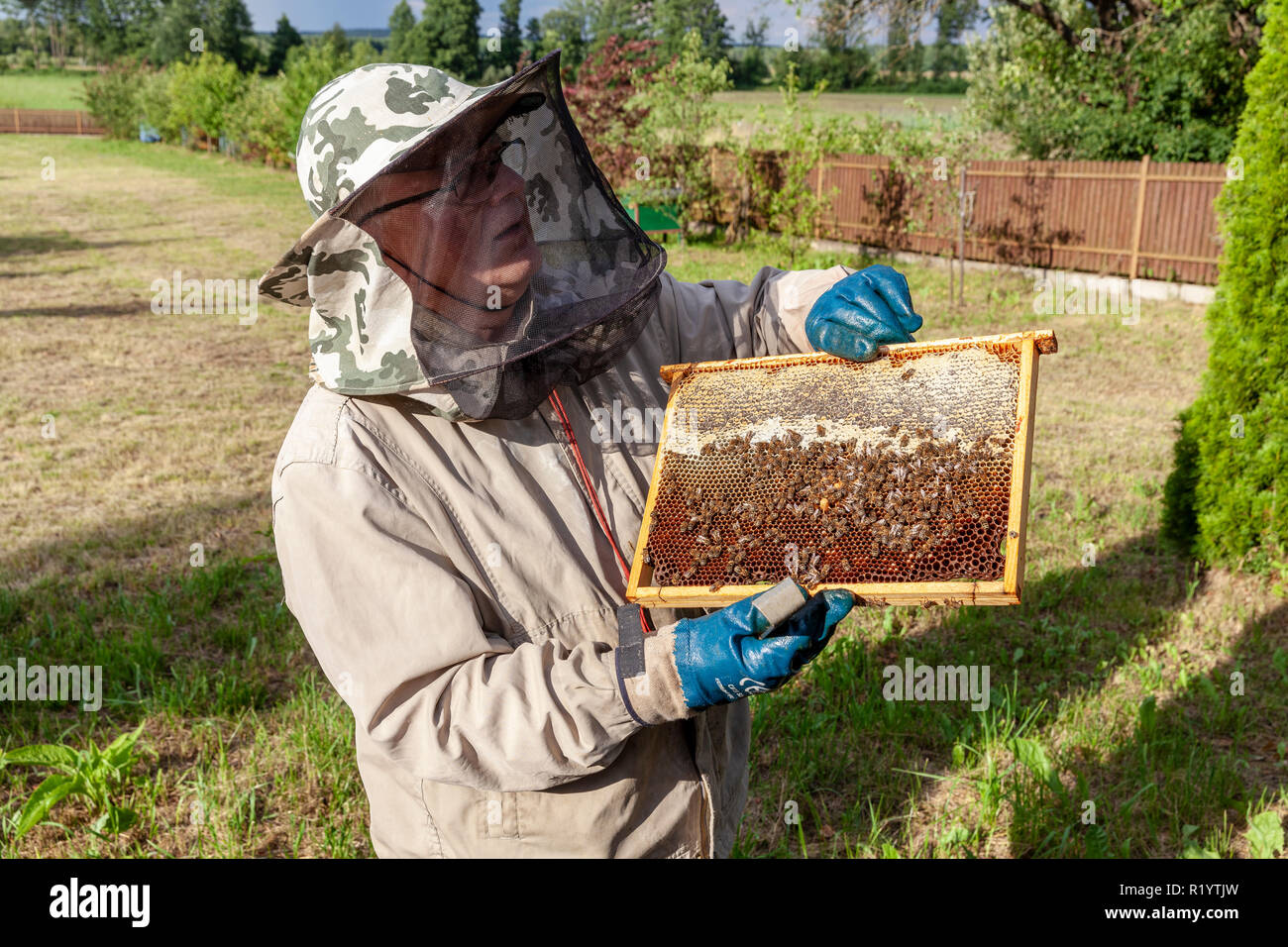 Beehive hat hi-res stock photography and images - Alamy