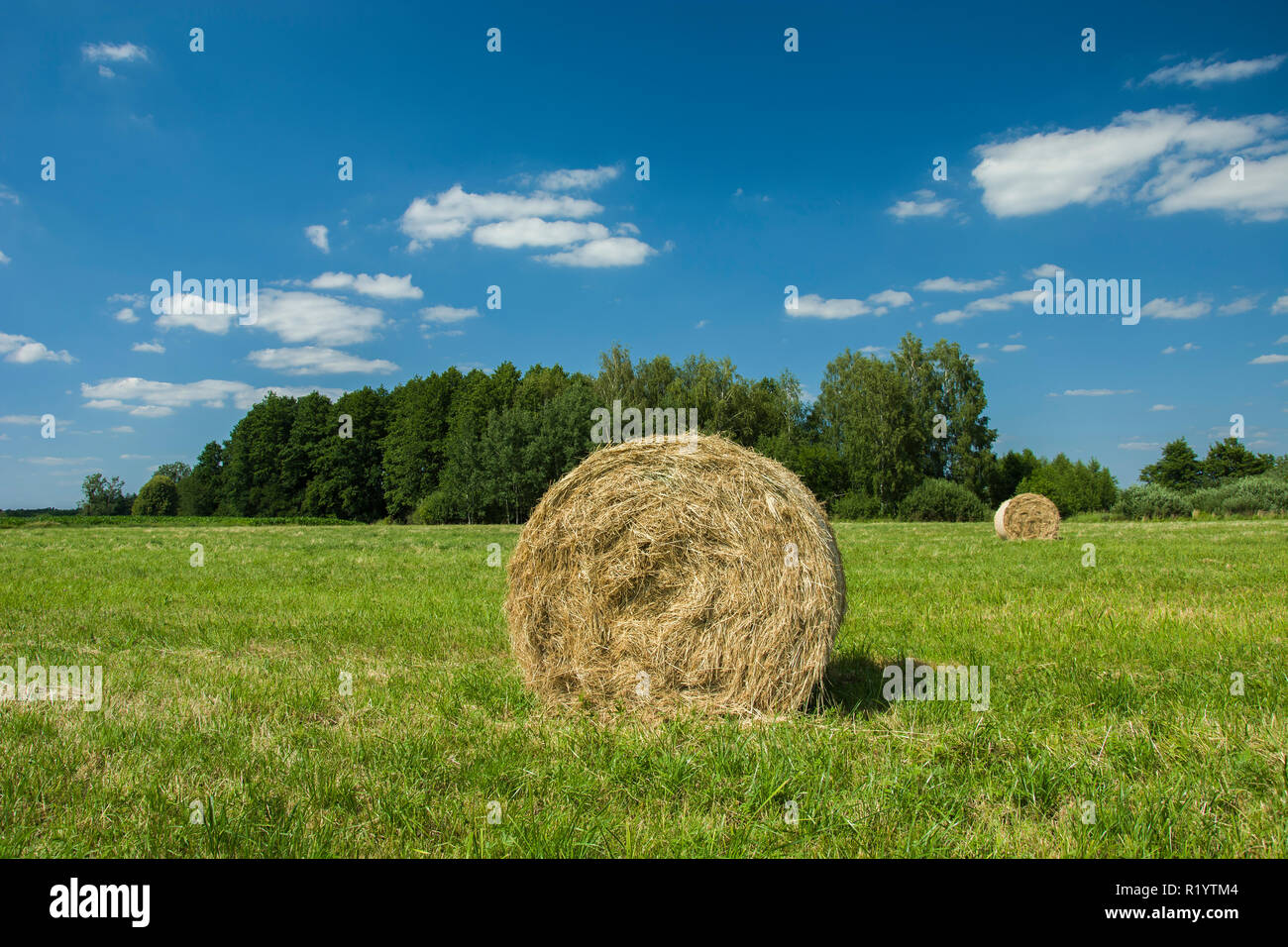 White hay rolls green field hi-res stock photography and images - Alamy