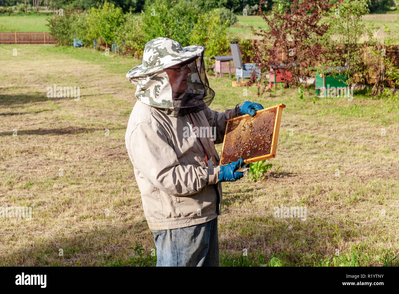 Beekeeper hat hi-res stock photography and images - Alamy