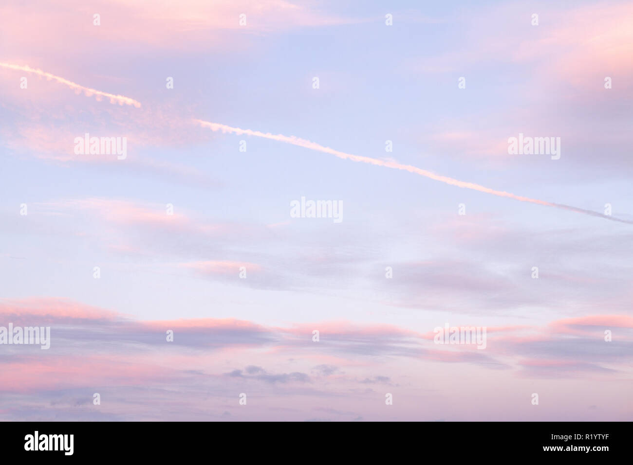 Warm purple hi-res stock photography and images - Alamy