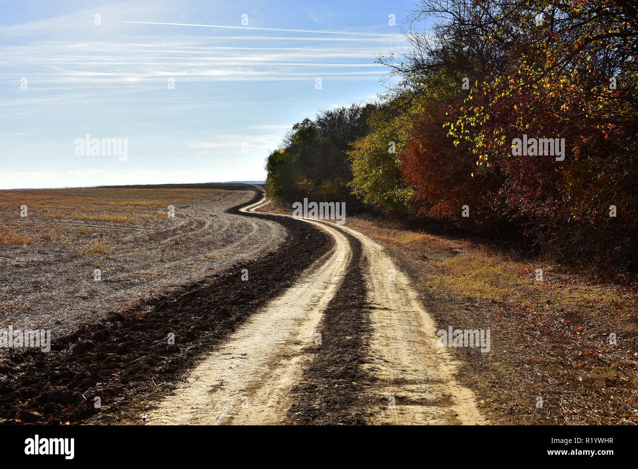 Beautiful countryside landscape with road ,between forest and field ...