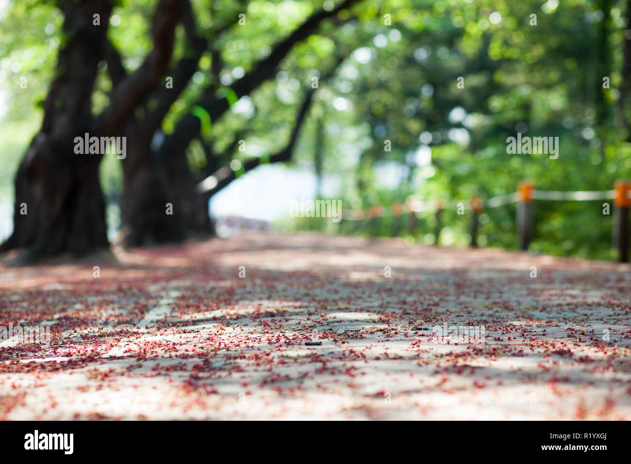 Sideway hi-res stock photography and images - Alamy