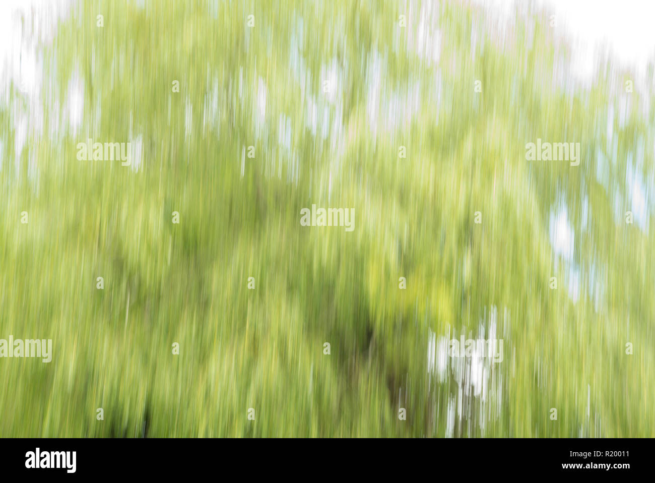 Natural world of colour hi-res stock photography and images - Alamy