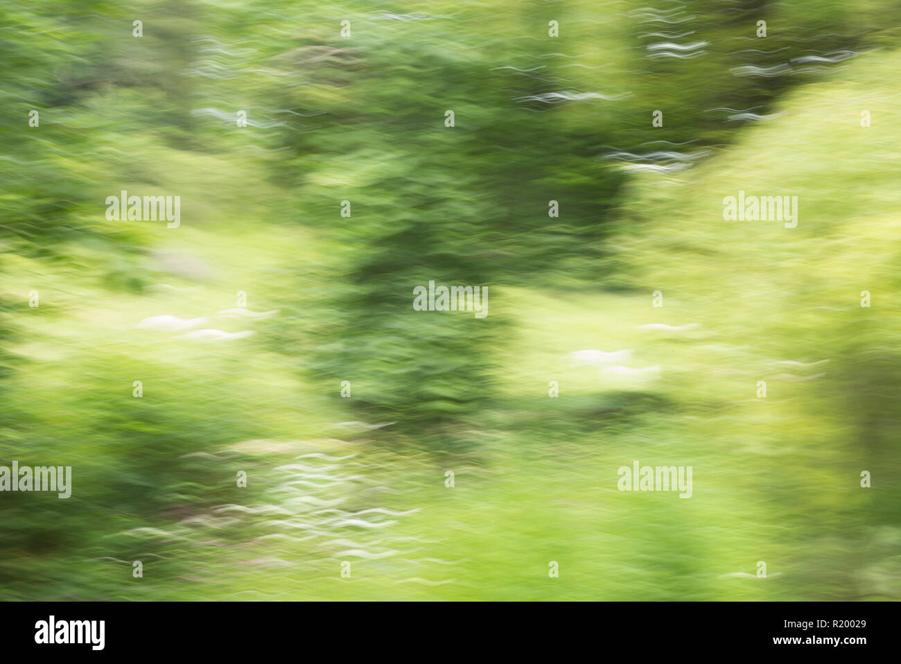 Impressions of Nature - trees, abstract, England Stock Photo - Alamy