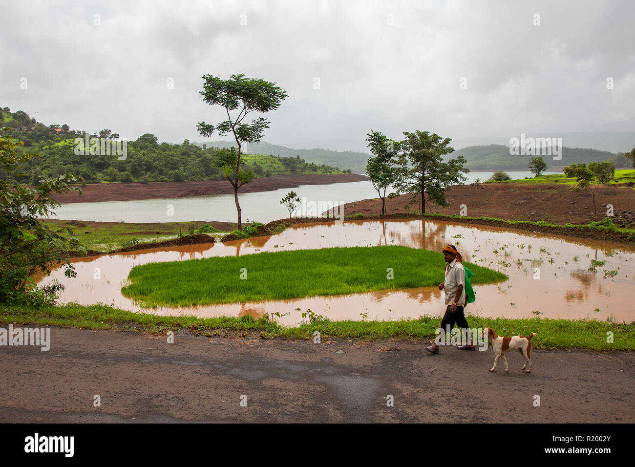 Monsoon landscapes around Tamhini Ghat and Mulshi Dam in western ghats ...